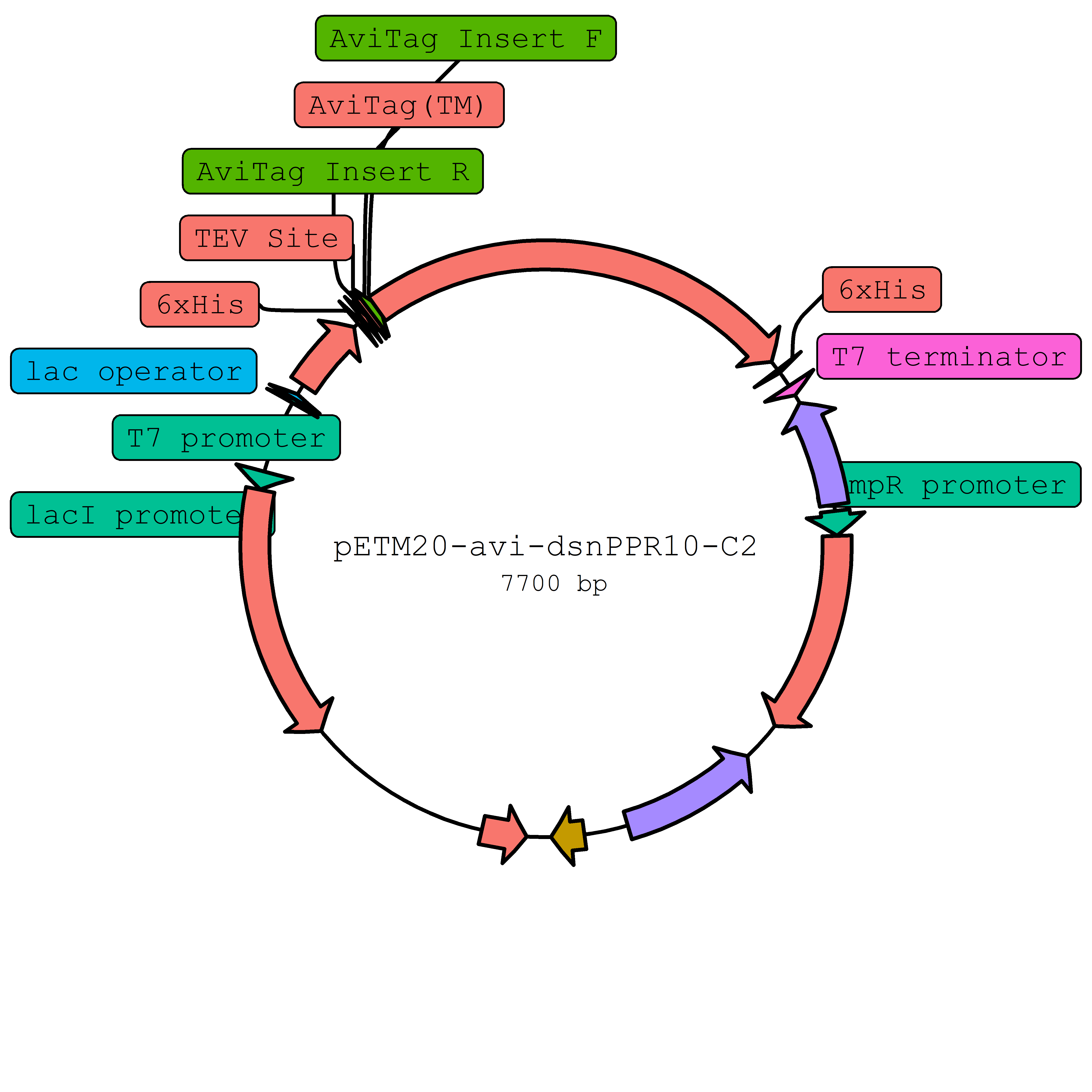 Render DNA plasmid Maps as {ggplot} Objects and Plots. • plasmapR
